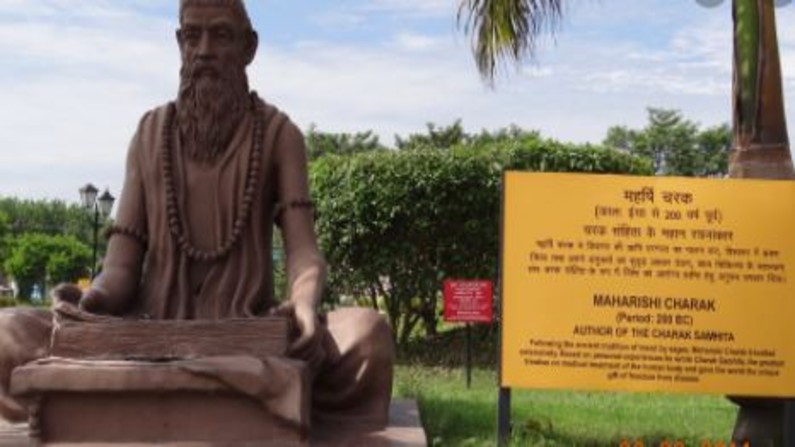 चरक संहिता: जड़ी बूटी से इलाज के अचूक नुस्खे, अच्छी सेहत की गारंटी है ...